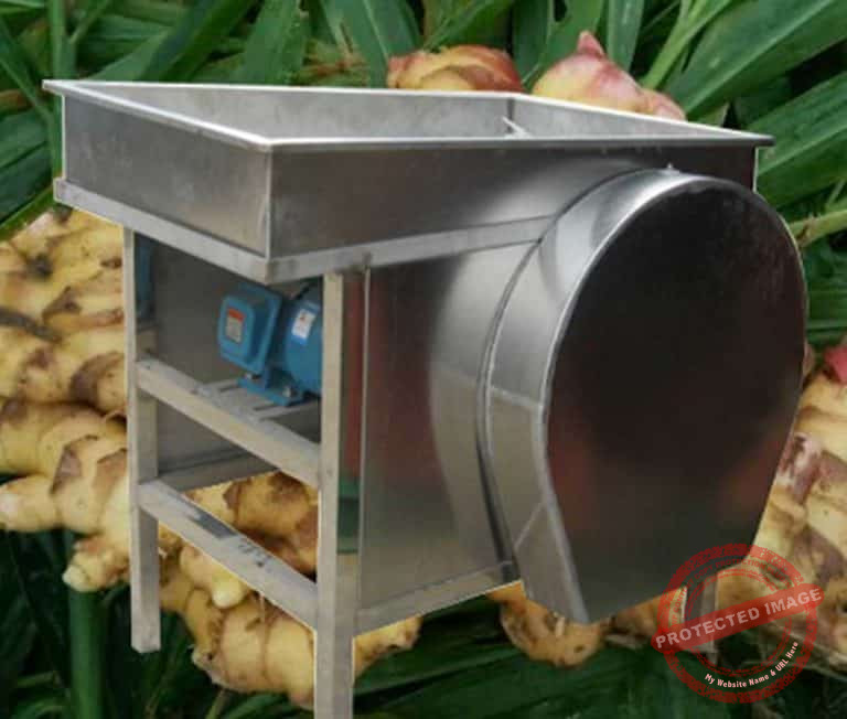 Automatic 1000kgh Ginger Slice Cutting Machine | Ginger Processing ...