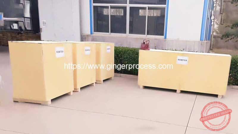 Ginger Washing Peeling and Slicing Machine for Nigeria Customer ...
