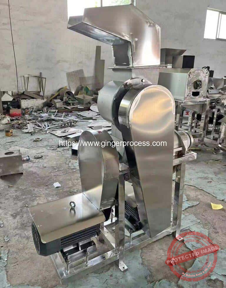 Automatic Ginger Juicer Machine for Australia Customer | Ginger ...