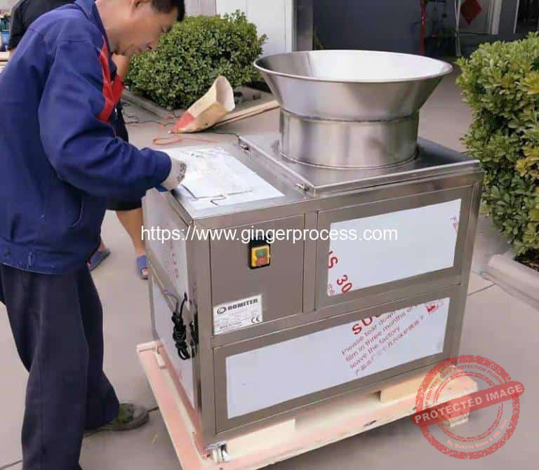 High Speed Ginger Slice Cutting Machine for Kenya Customer | Ginger ...
